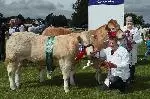 Gallery 2019 - OMAGH Show