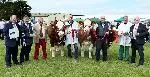 Gallery 2019 - OMAGH Show